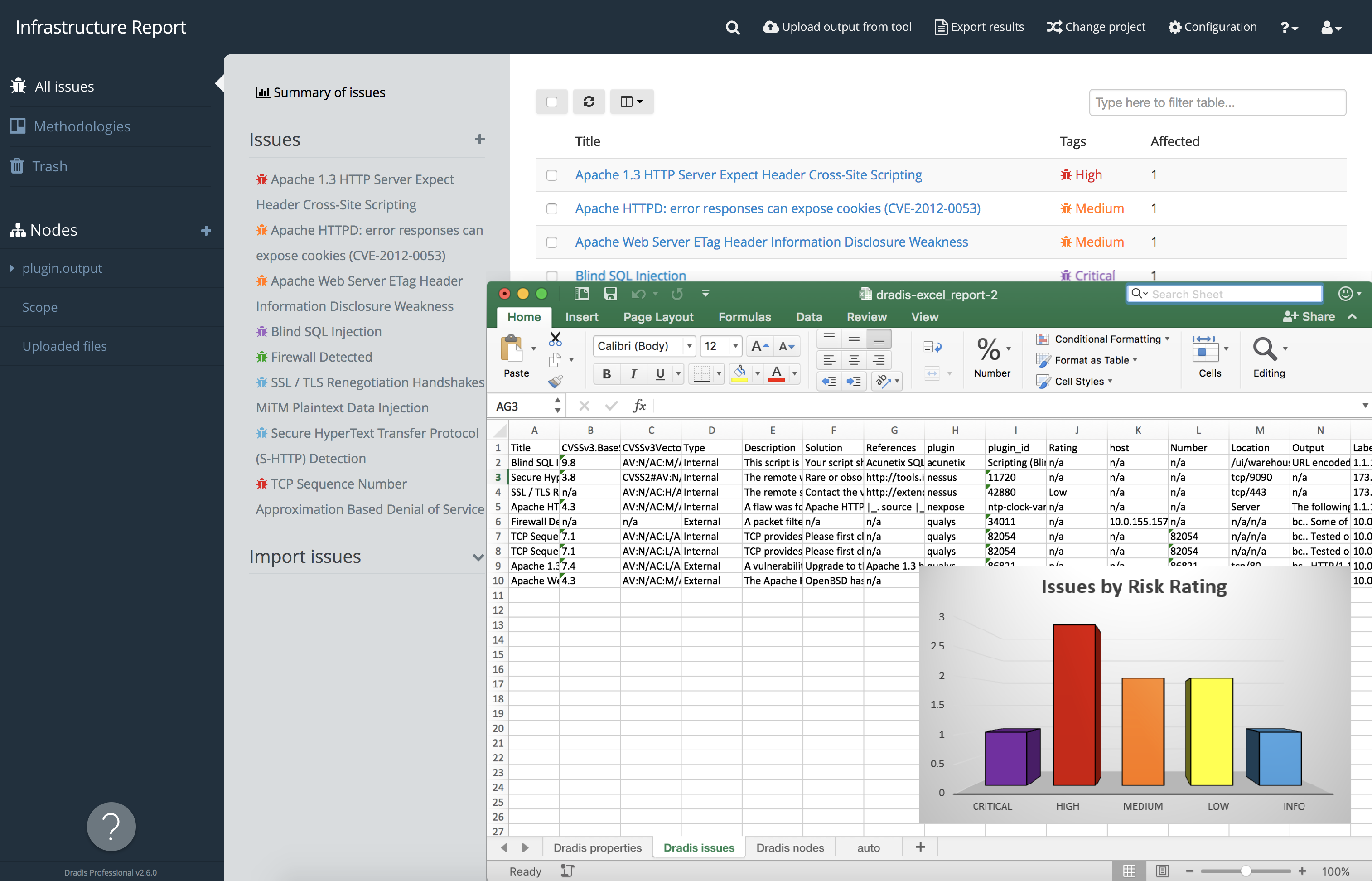 Create custom Excel reports match your branding | Dradis Framework